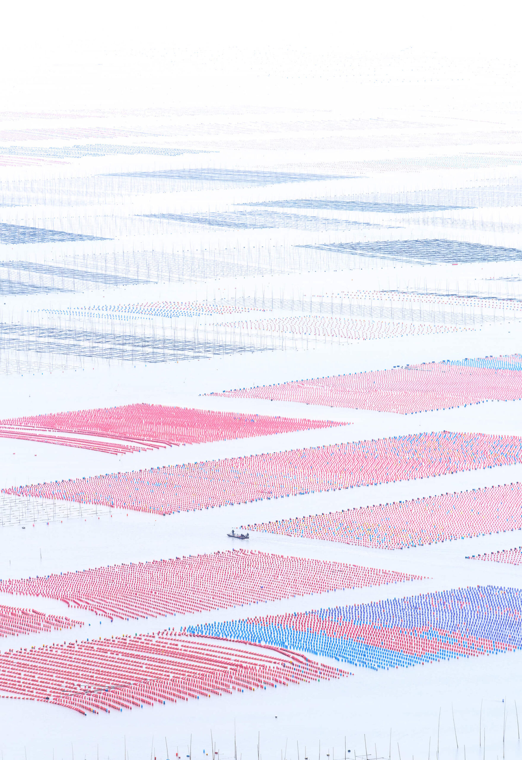 18_Sony World Photography Awards (Kollektiv) – Fotofestival Lenzburg